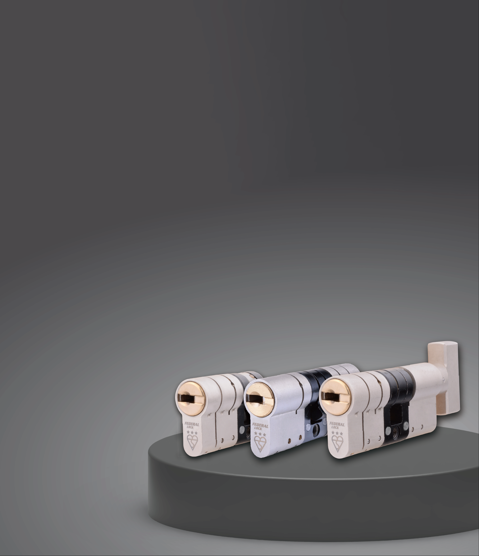 Euro Profile Cylinder Iron Guard Series (Non-Handed Function) / Double ...